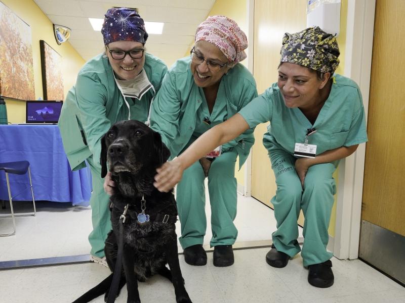 Why Join Inspira? | Inspira Health